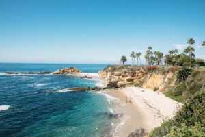 Scott Clark Photography